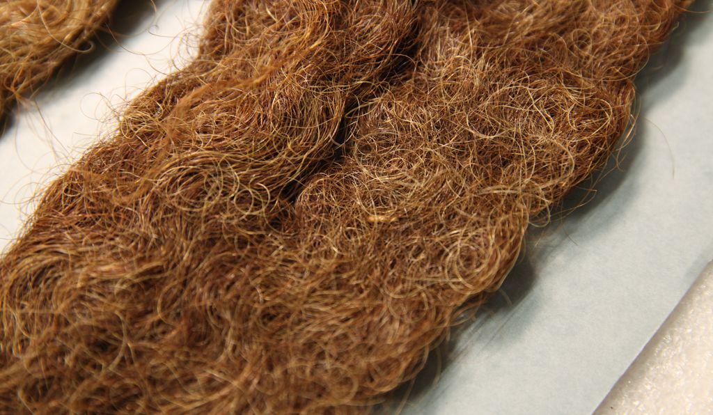 The Story of Hans Langseth, the Man Who Had the Longest Beard in ...