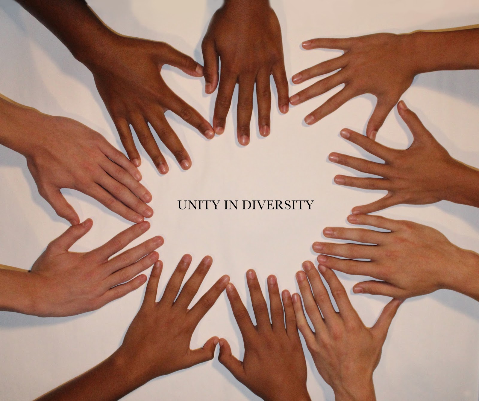 Embracing Our Differences Idea #1 and #2