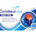 CEREBEST Fort Giúp hoạt huyết, tăng cường lưu thông máu - Cây Thuốc Nam ...