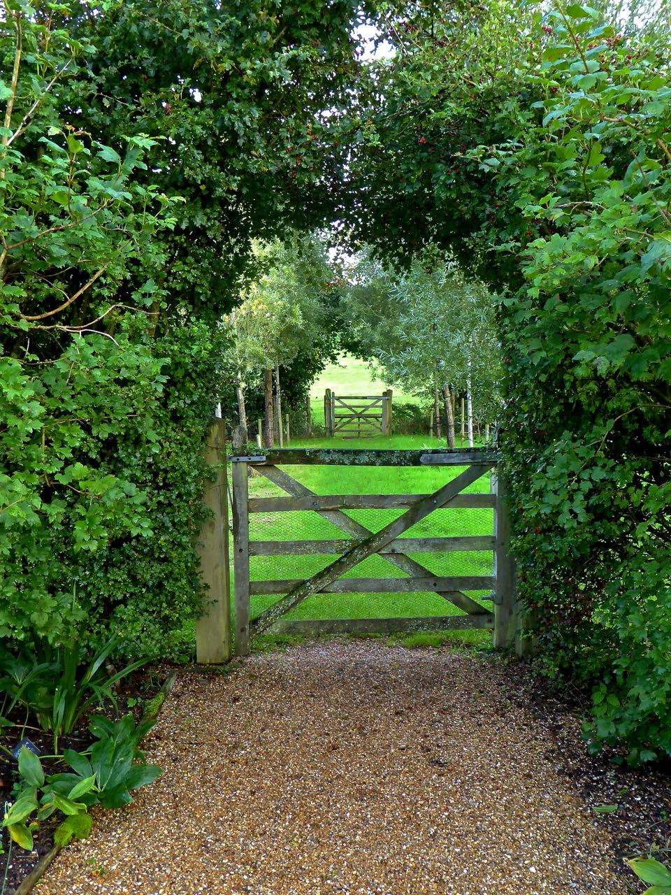 Grand Tour - Perch Hill