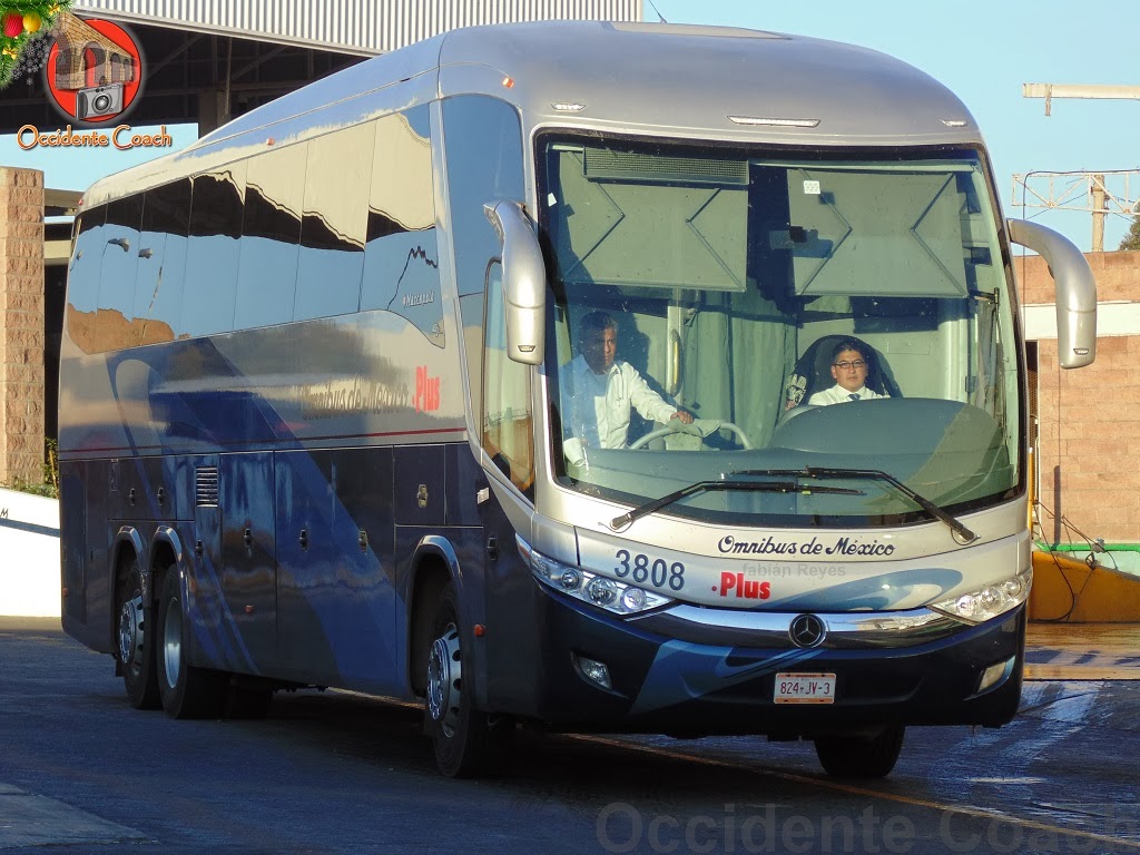 Occidente Coach: Omnibus de México Plus