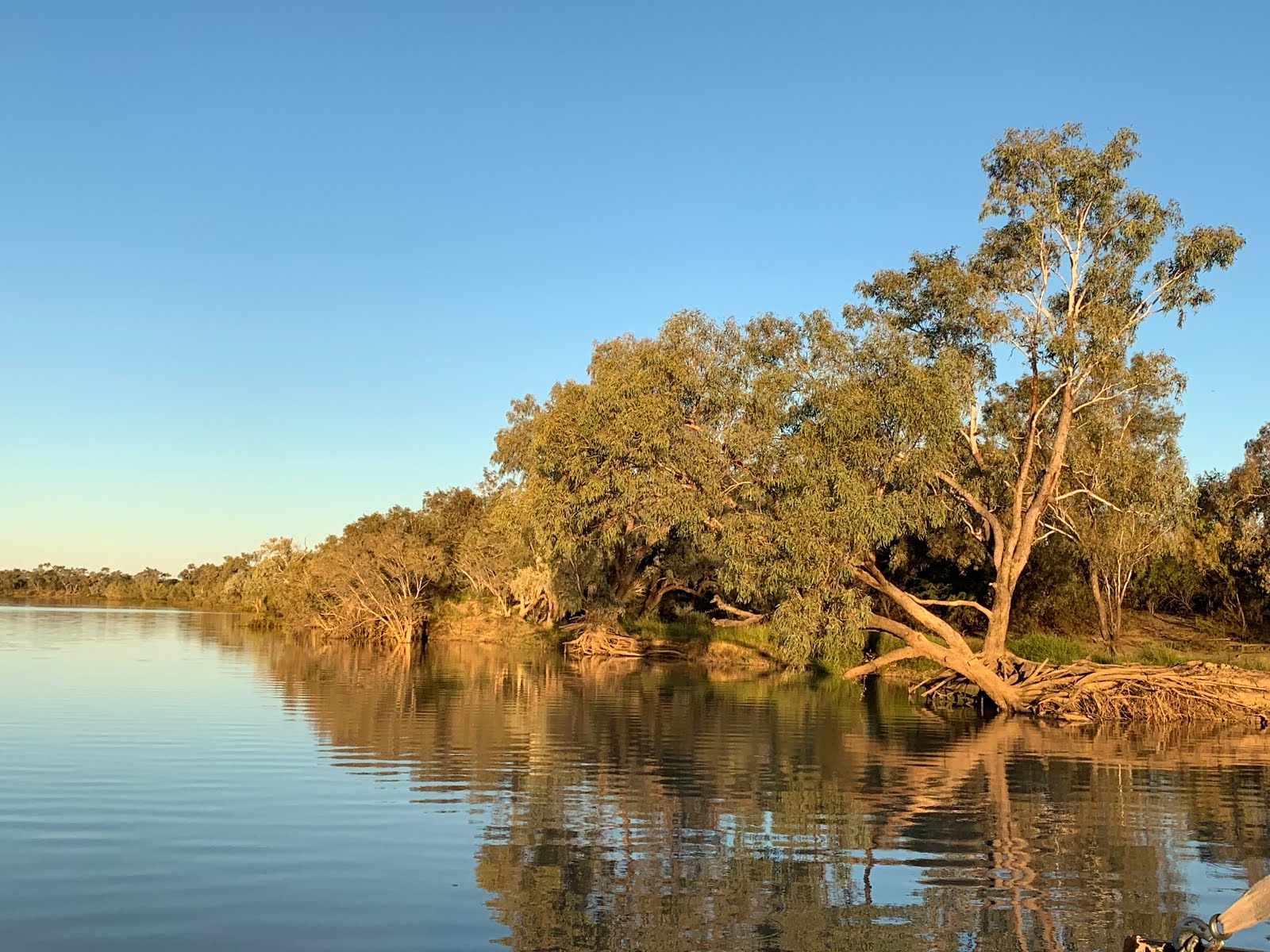 jannimary: Longreach - Thompson River Cruise