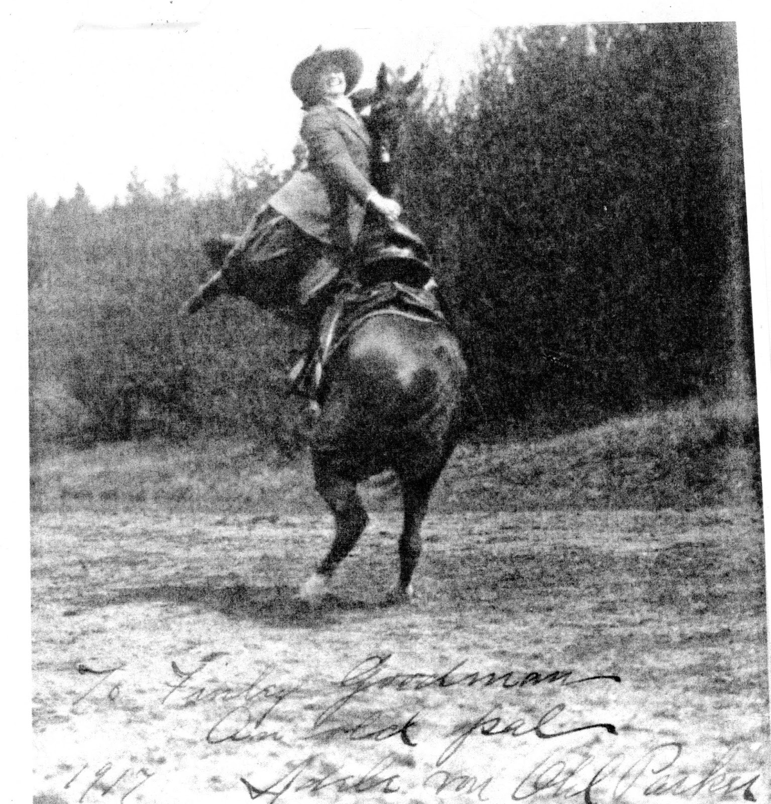 Heroes, Heroines, and History: A Belle of the Wild West