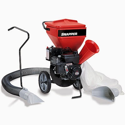 Erin Borchard: "Chip, Chip, Chip-a-Roo"