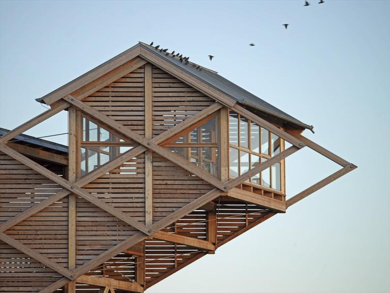 Organic Architecture: Bird Observation Tower
