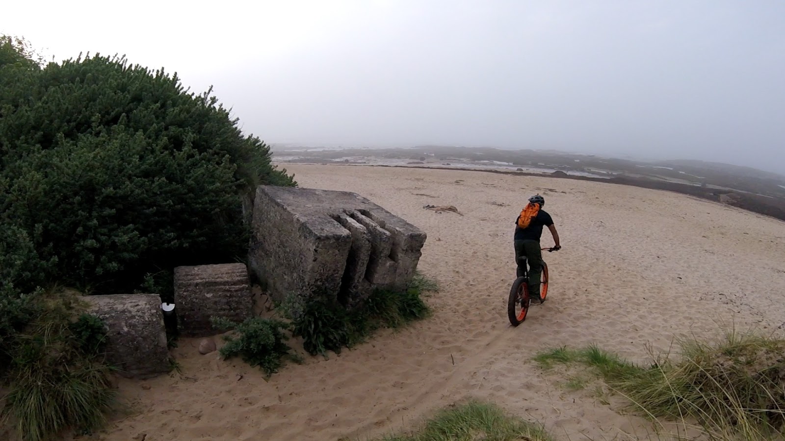 coastrider: Midweek Cycle; Offshore Sea Haar at Tyninghame...