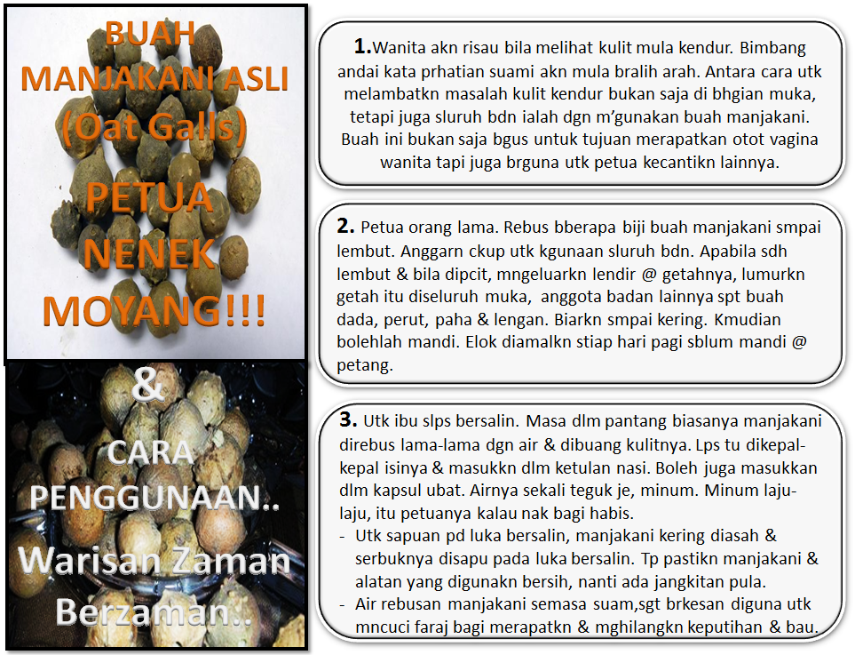 Manjakani Herbs: Buah Manjakani Asli