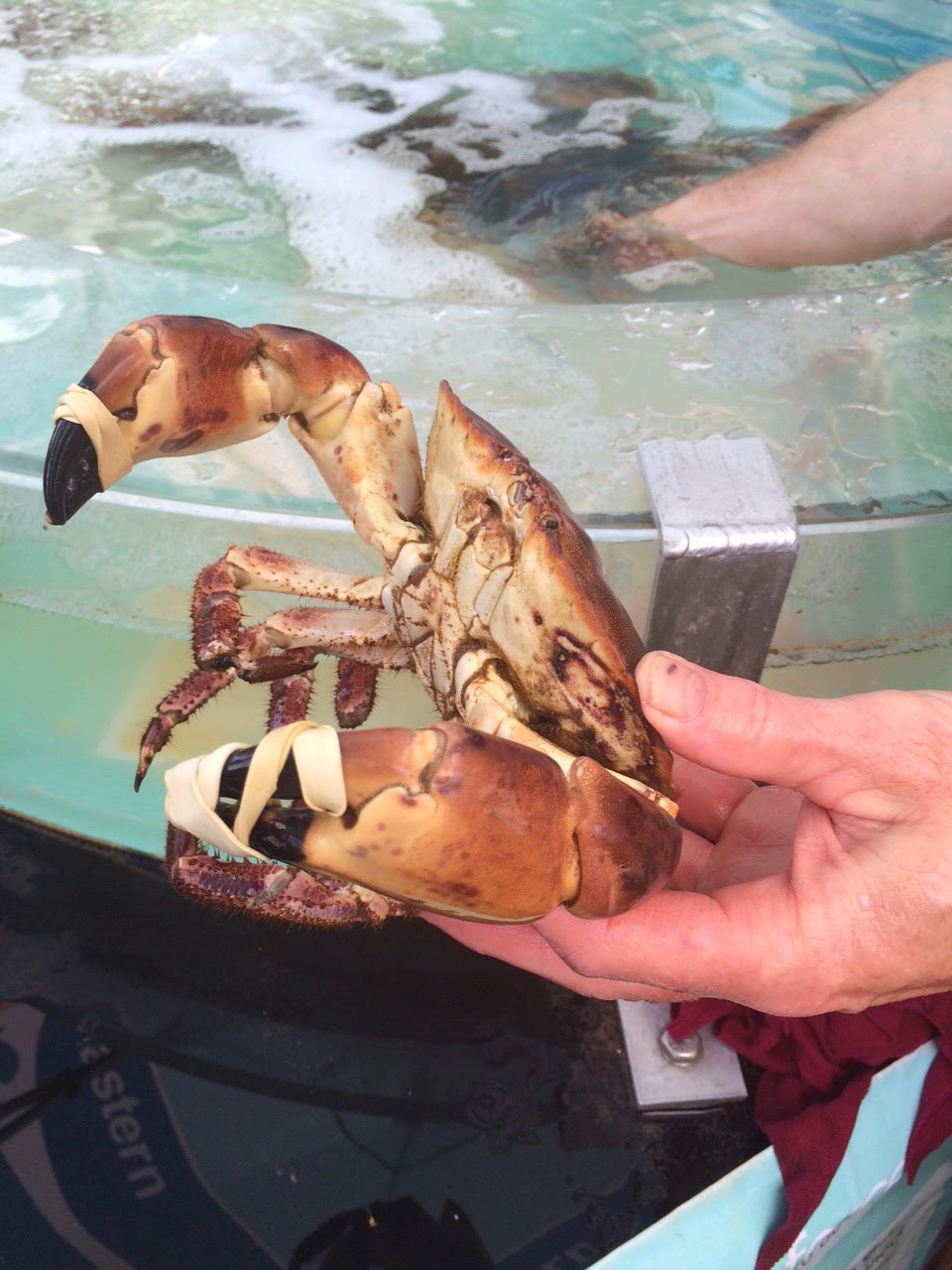 Me and my shadow: Cromer and Sheringham Crab and Lobster Festival