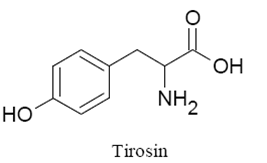 Syadza_Fir's Blog: Alkaloid Turunan Tirosin