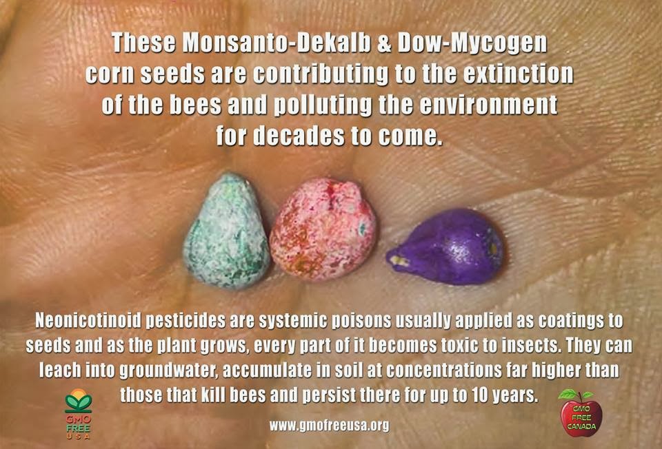 Strathcona Beekeepers' Library: Neonicotinoids and Bees