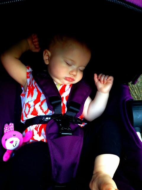 PB+J Babes: Baby Paparazzi /pɑːpəˈrɑːtsi/, /pæpəˈrætsi