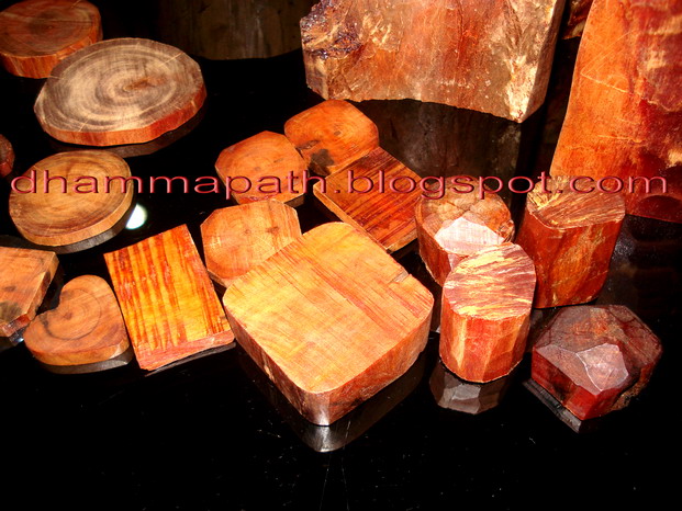 Dhamma Path Blog: Raja Kayu ~ The Magical King Of Wood Energy.