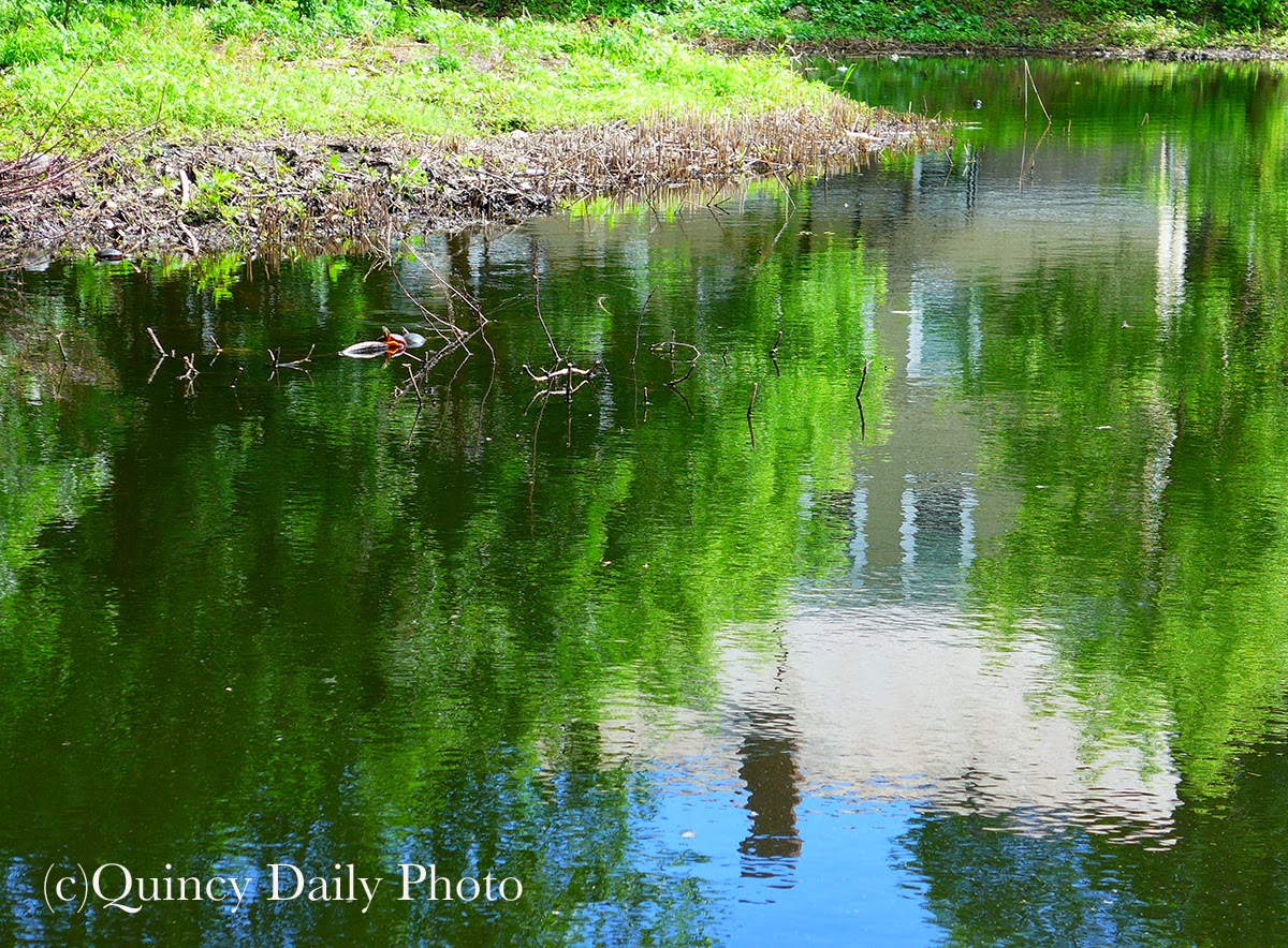 Quincy Daily Photo: June 2014