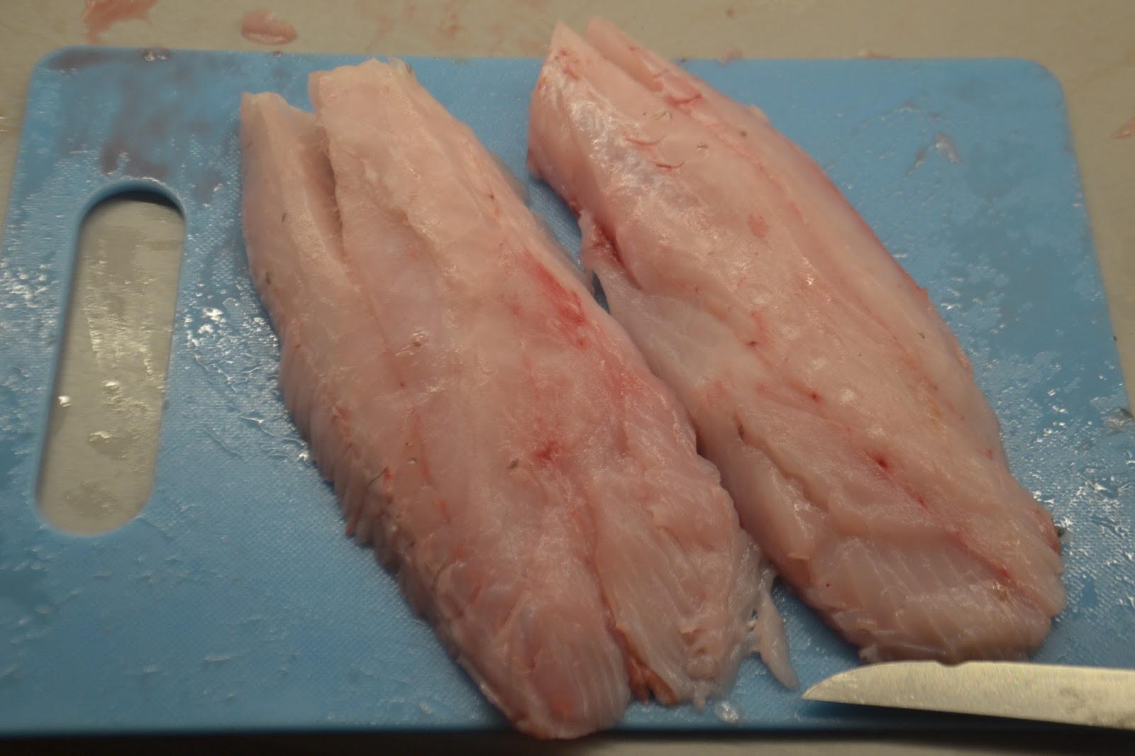 Oppdag Fisk!: Vrakfisk/Atlantic Wreckfish/Polyprion Americanus (Saltvann)