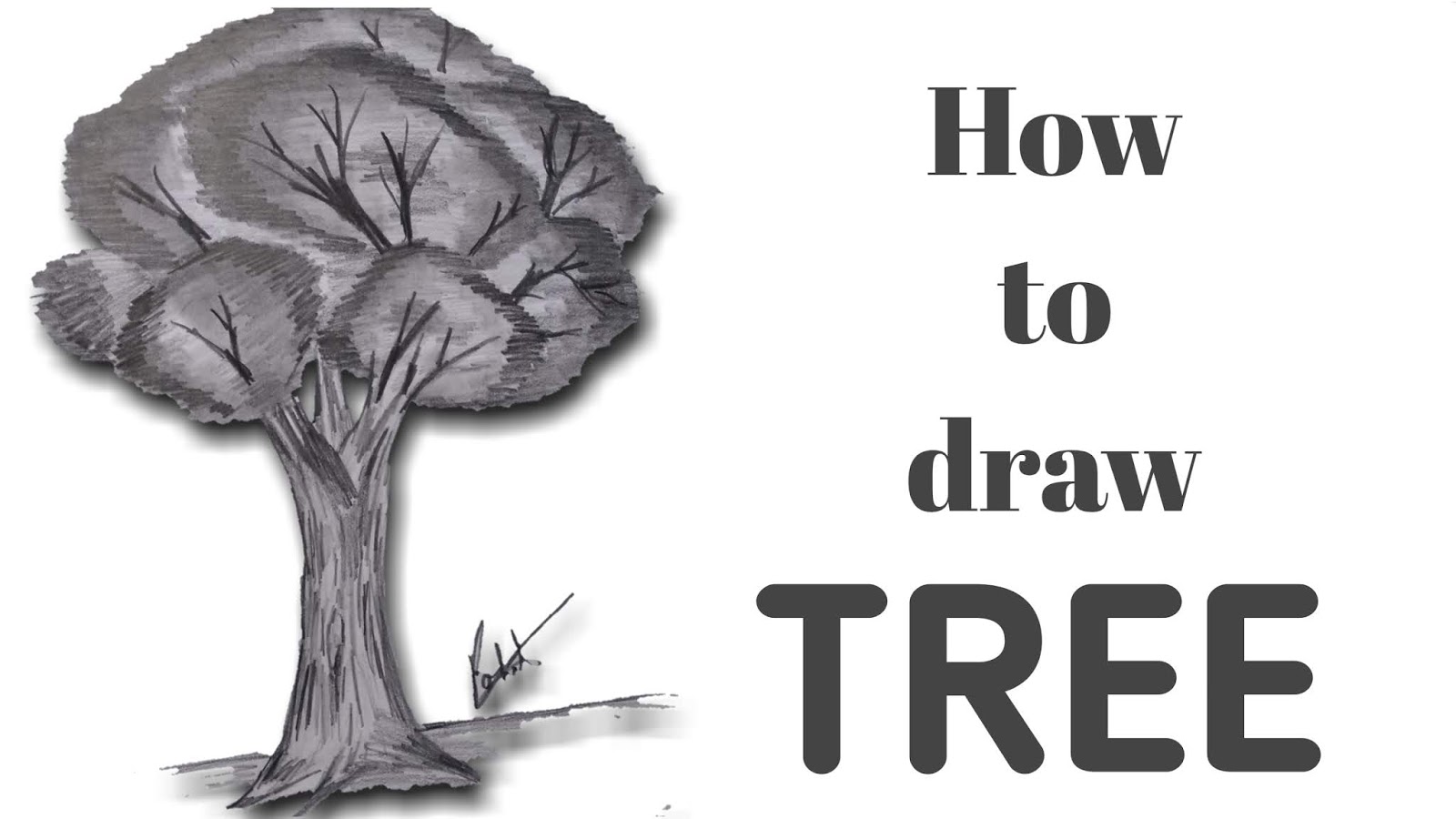 How to draw Trees - step by step tutorial - for begginers