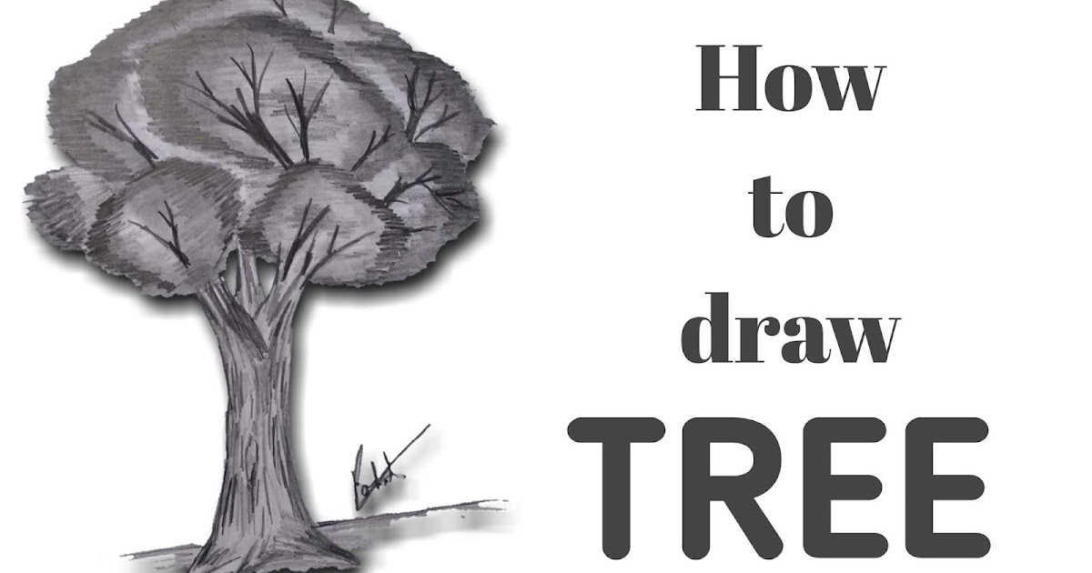 How to draw Trees - step by step tutorial - for begginers