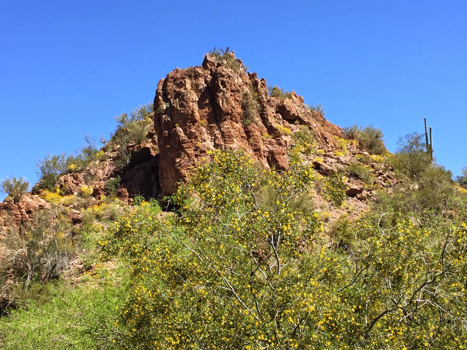 Our Hiking Mystery: Ringtail Trail Loop