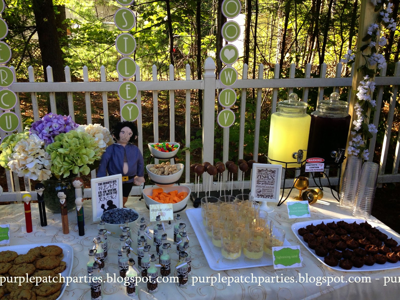 The Purple Patch: The Princess Bride Backyard Movie Night