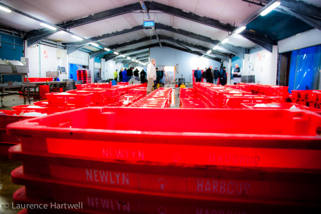 Through the Gaps! - Newlyn Fishing News: Fish galore on Monday morning ...