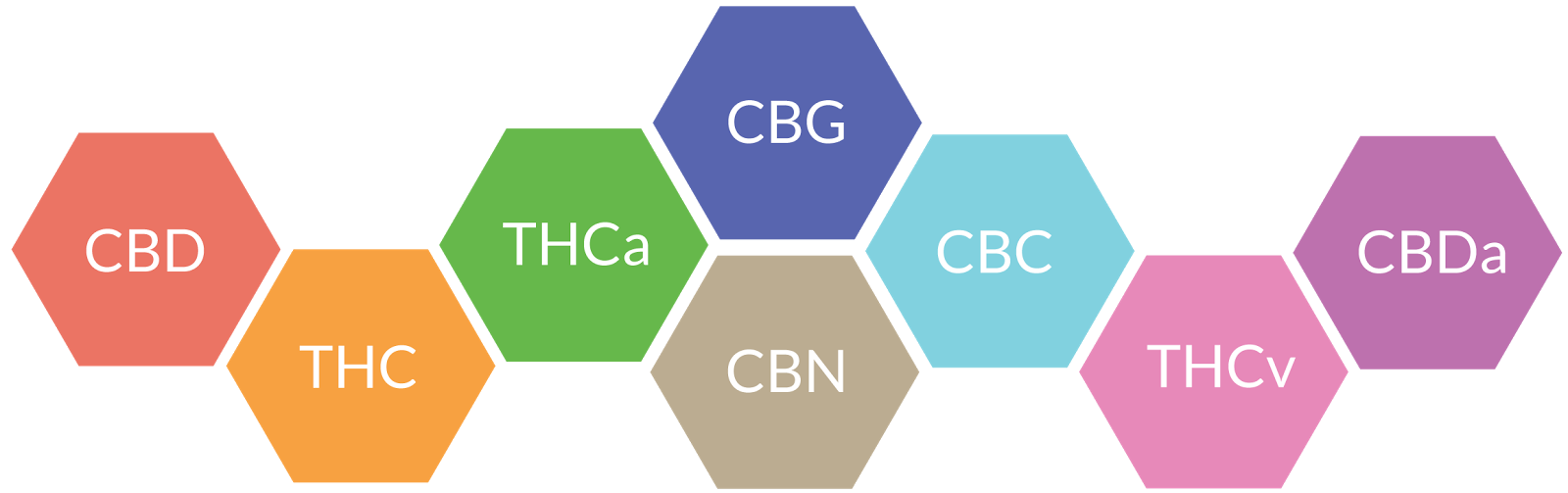 Hemp Edification: Cannabinoids Overview. CBG-a, The Precursor, and CBG