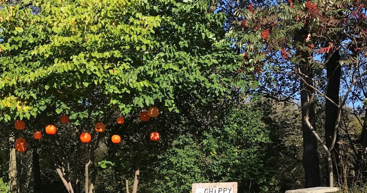 ChiPPy! - SHaBBy!: FALL SALE - This PAST WEEKEND - ChiPPy-ShaBBy's House...