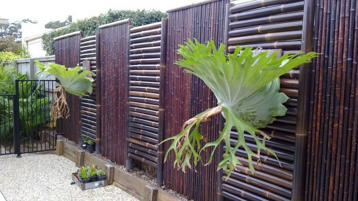 40 Ide Desain Pagar Bambu Unik Sederhana - Rumahku Unik