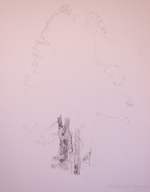 Restatement Lines: Sight-sized drawing