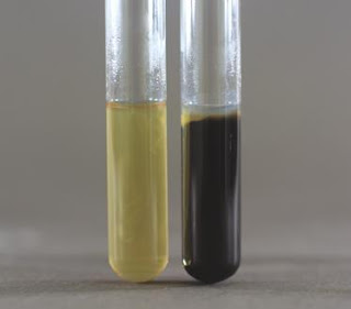 Hydrogen Sulfide (H2S) Production Test - Microbiology Lab Notes