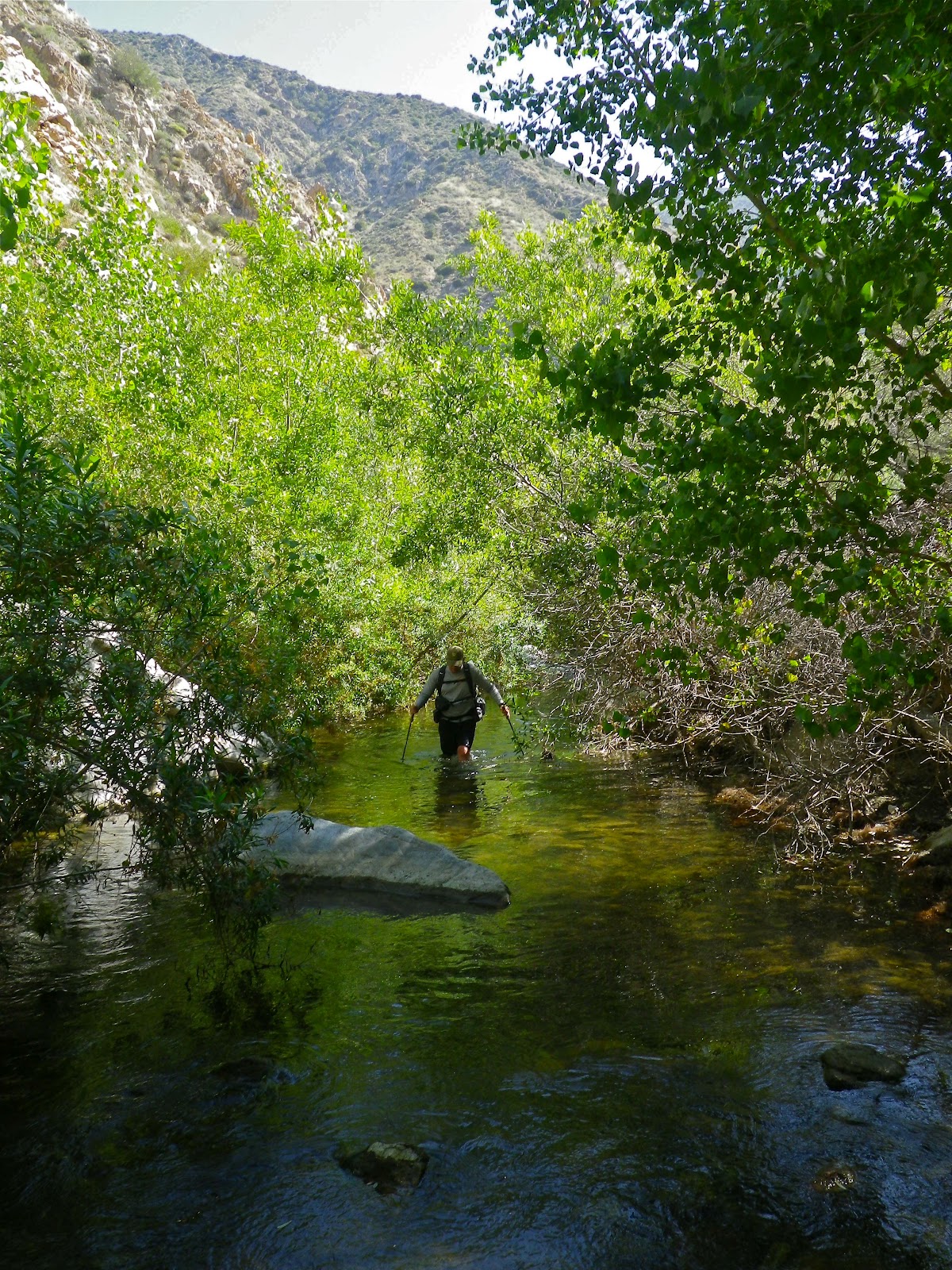 David Stillman: Piru Creek, from Pyramid Lake to Lake Piru, 05/19&20/2012