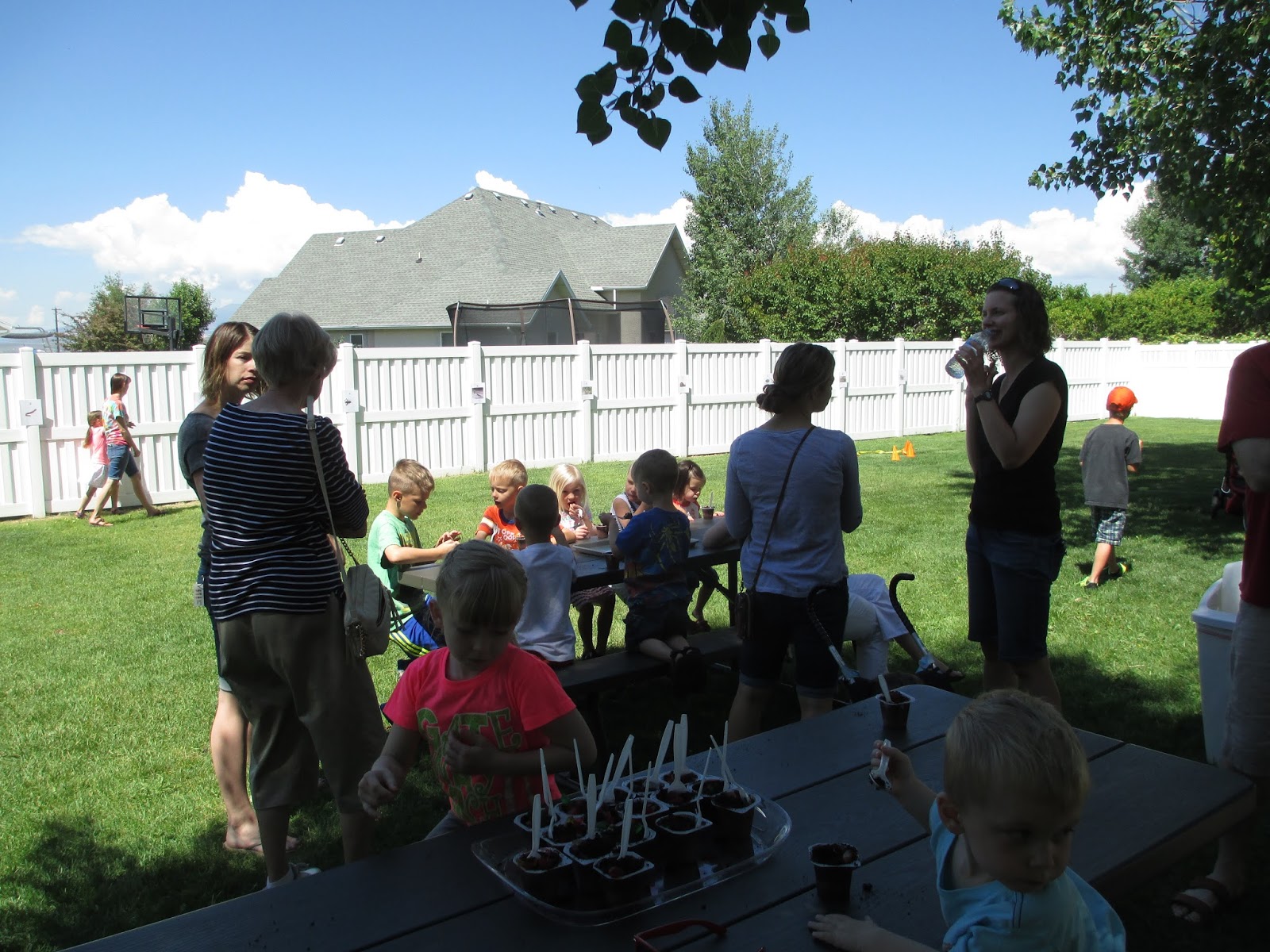 Summer Science Camps: Bug Camp Day 5 - The Culminating Activity