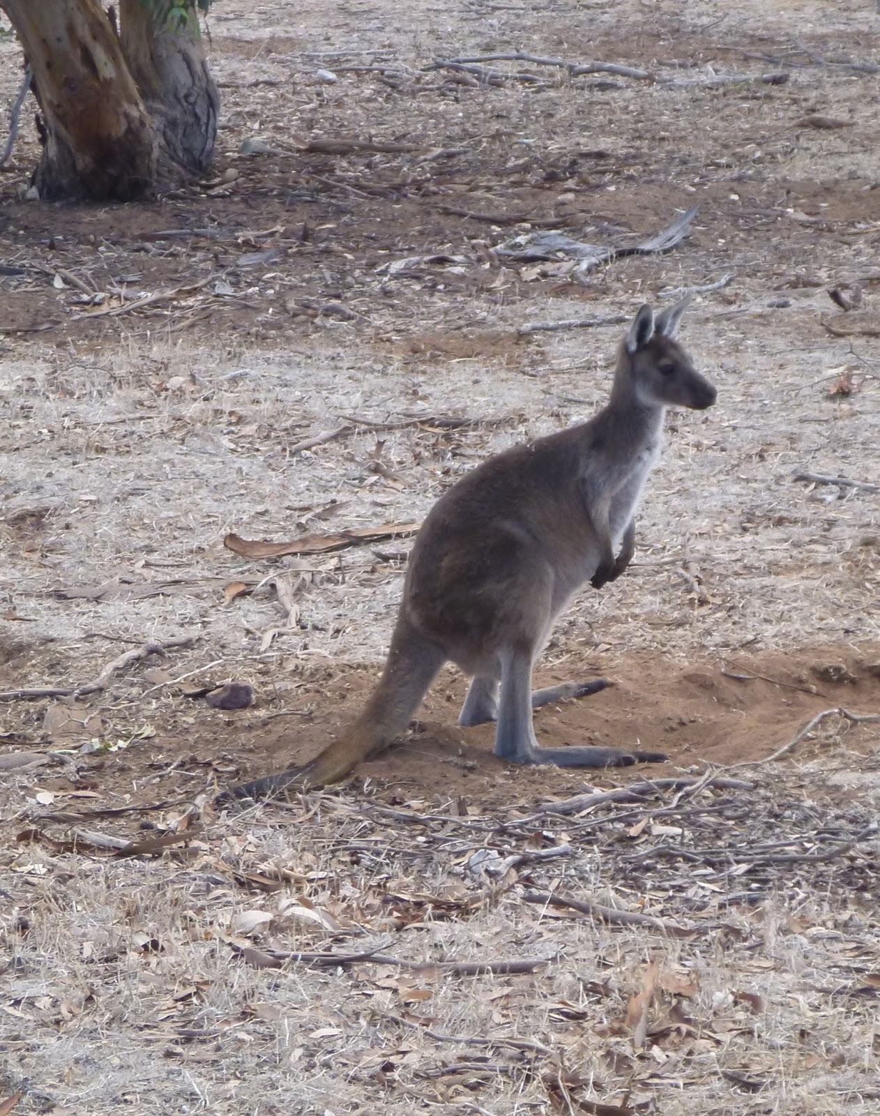 Mags and Mike's Travel Blog: April 2013