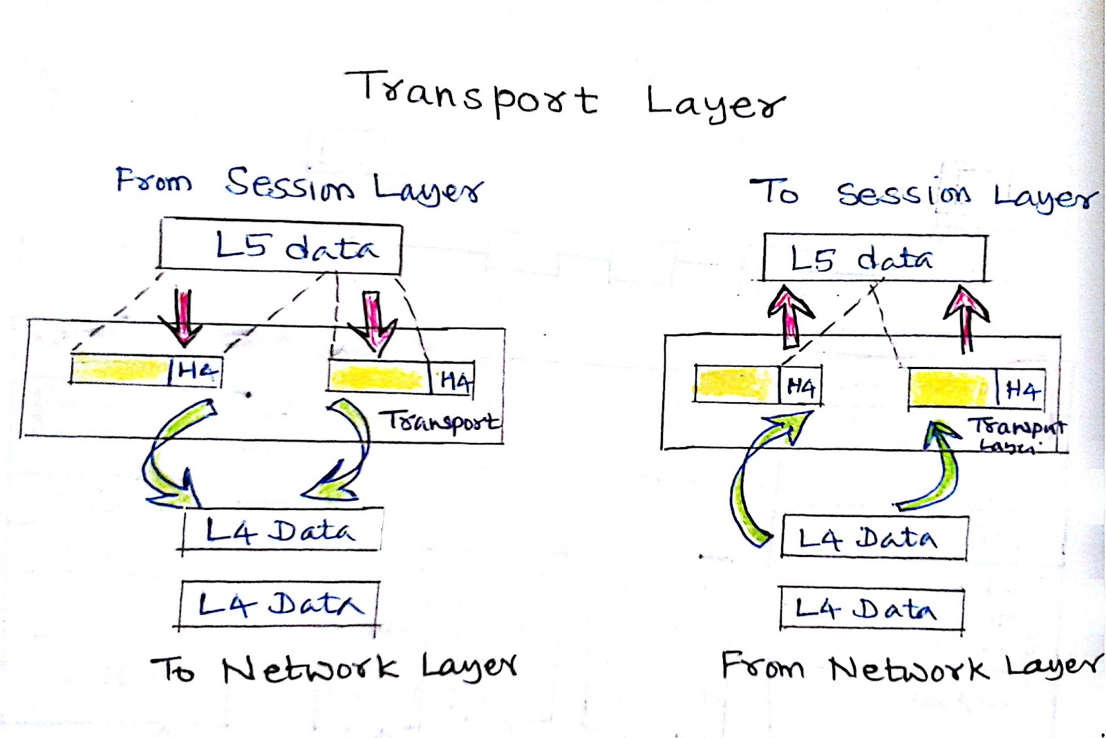 Networking(DCCN): OSI Reference Model