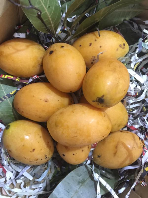 Sedap Sangat ke Buah Kundang ? | Cerita Budak Sepet