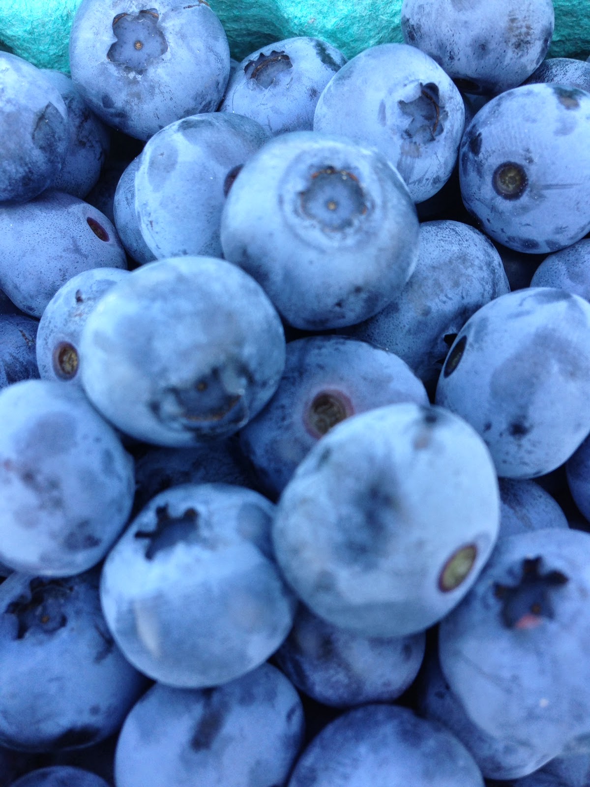 ORGANICALLY INCLINED... :)~: Blueberry Fields Forever... ;)~