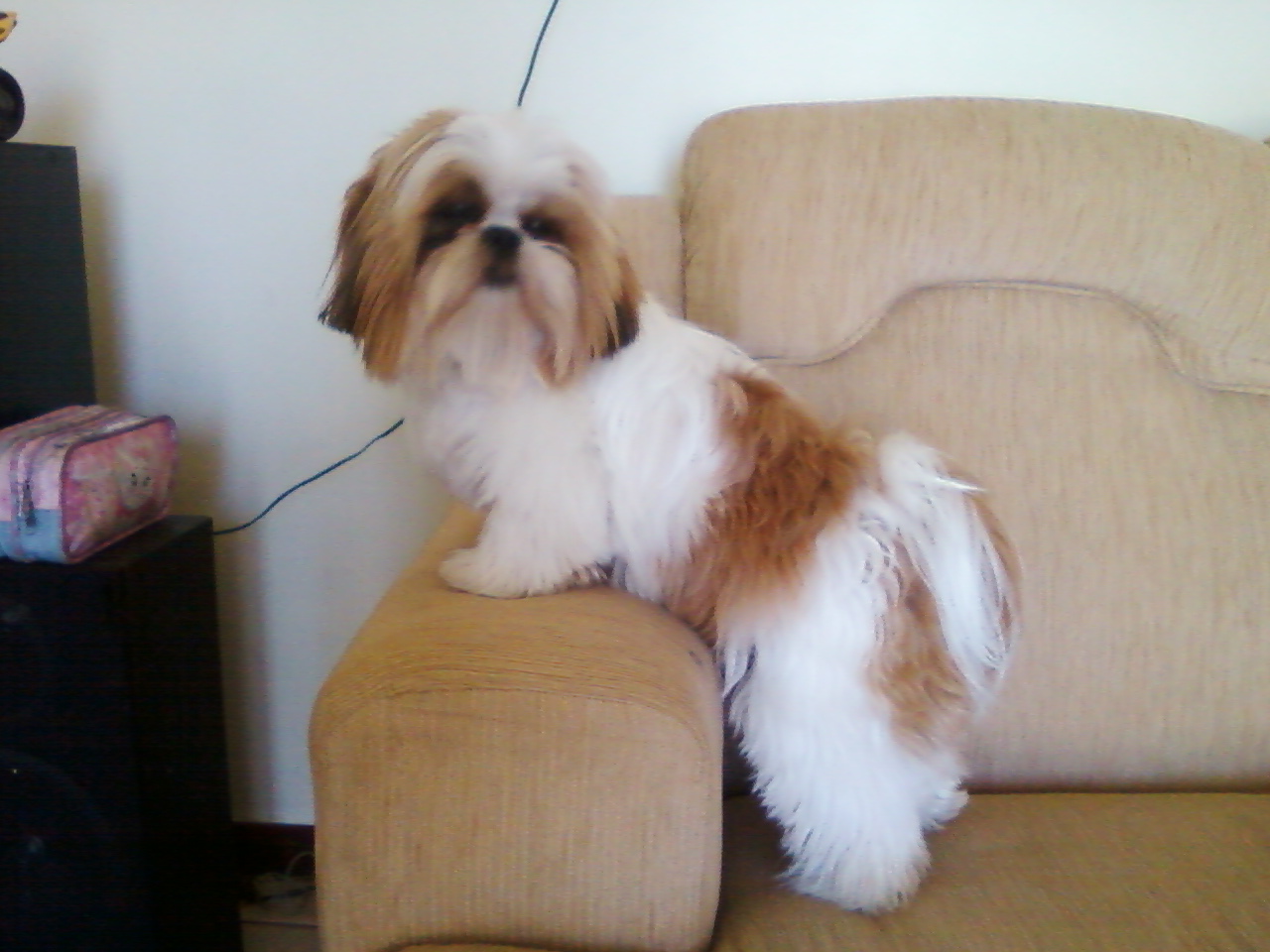 Blog do Nerinho: Tô tosado! :)