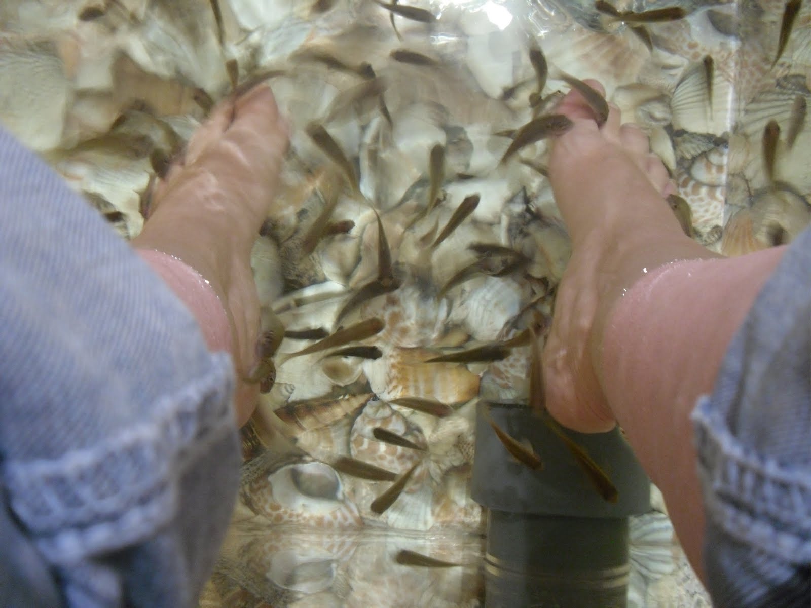 Culinary Adventures in Europe: The MOST UNUSUAL Spa Experience/Garra ...