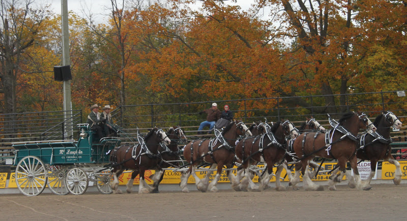Melange: Rockton World Fair