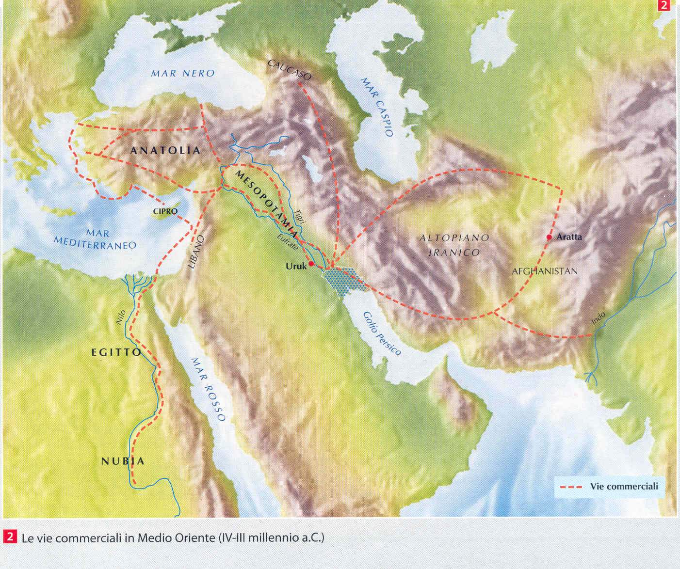 I SUMERI | Fior di zucche 2.0