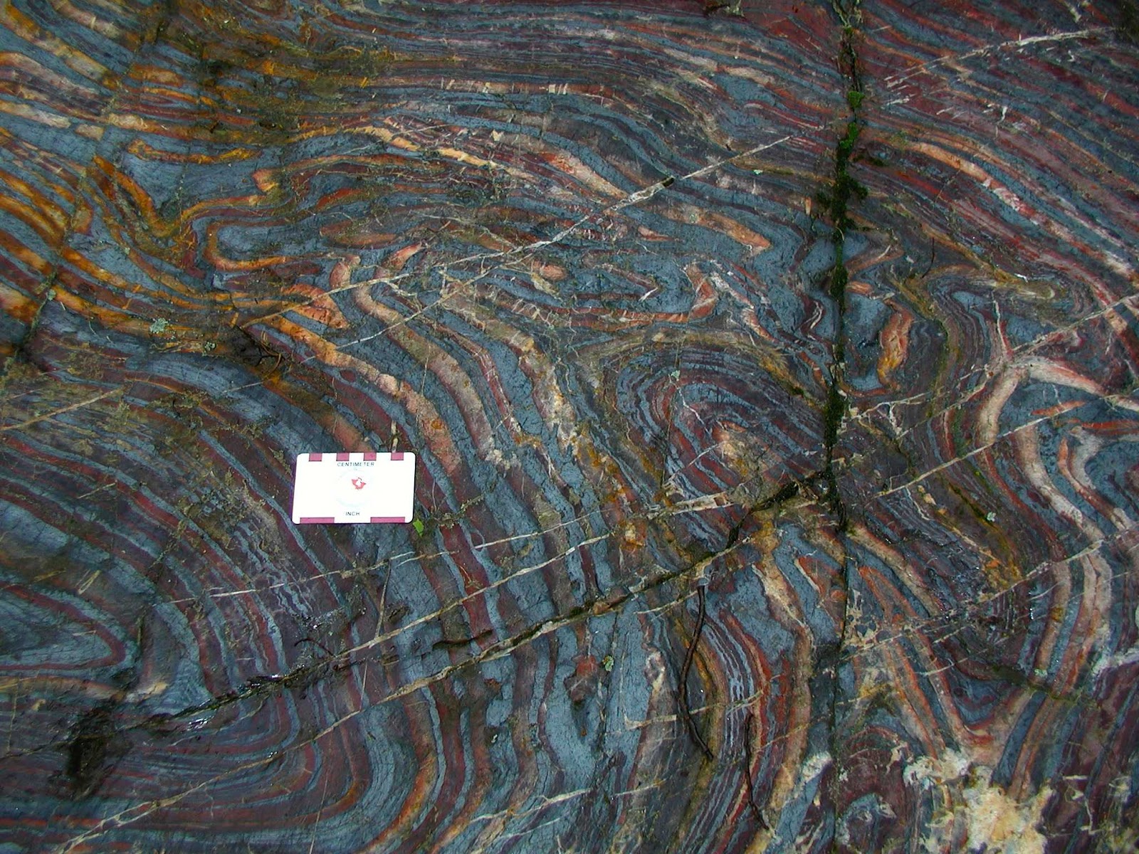 earthscienceguy: Minnesota Geology Monday - Folded Banded Iron Formation