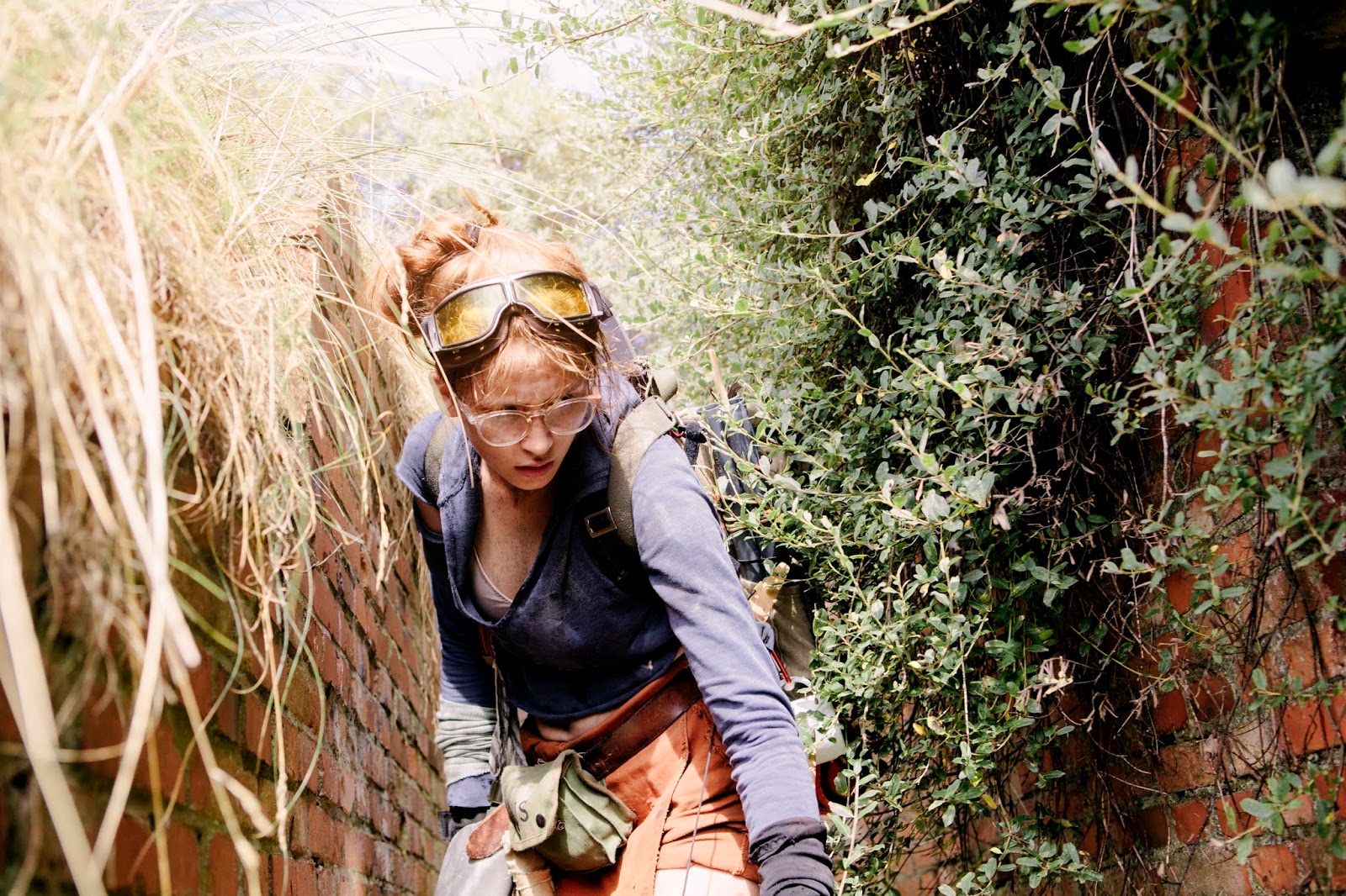 Molly Trailer Available Now! on Blu-Ray, DVD, and Digital 10/02 - Bobs ...