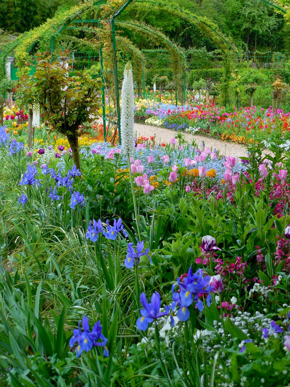 Teatime Journeys: Day 8- Monet's Garden