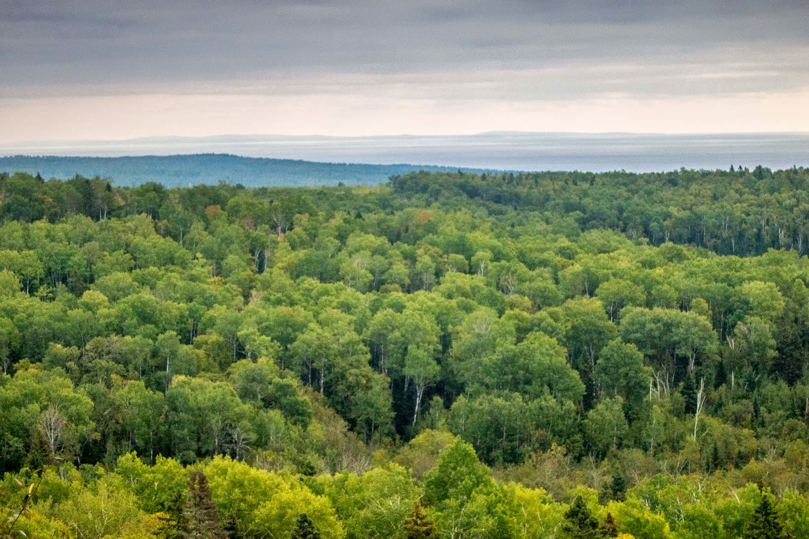 Eric's Hikes: Superior Hiking Trail: Grand Marais to 270 Degree Overlook