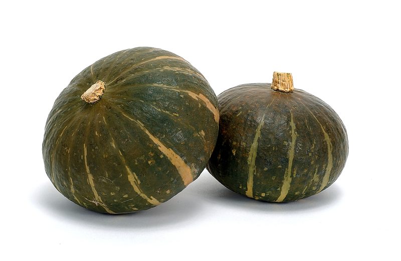 delicia natural organicos: Calabaza Kabocha