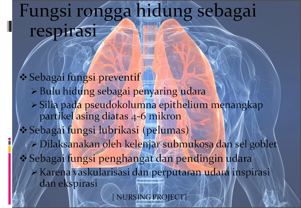 NURSING PROJECT: ANATOMI DAN FISIOLOGI SISTEM RESPIRASI