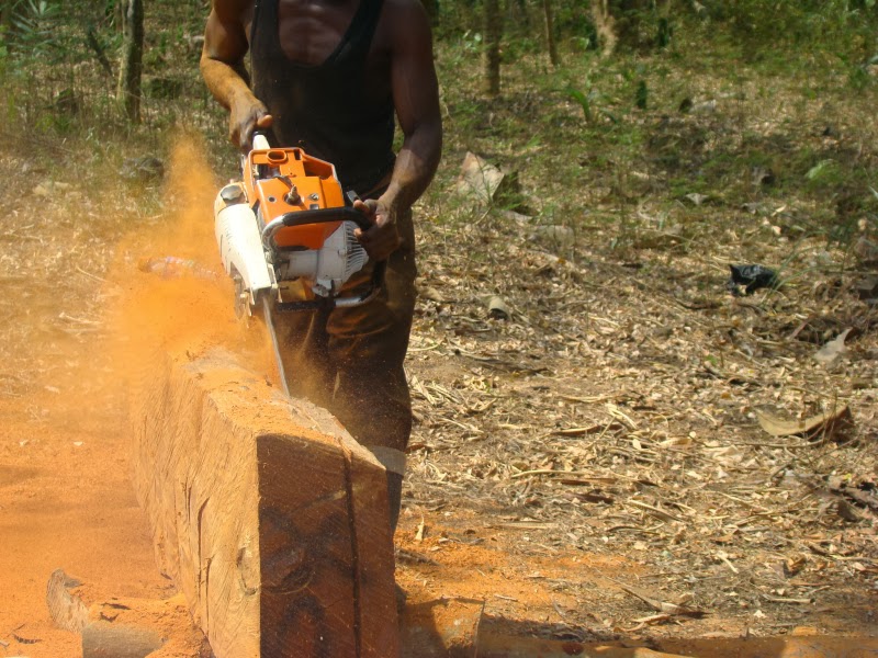 Water, Environment and Natural Resources: UNDERWATER LOGGING: THE CASE ...