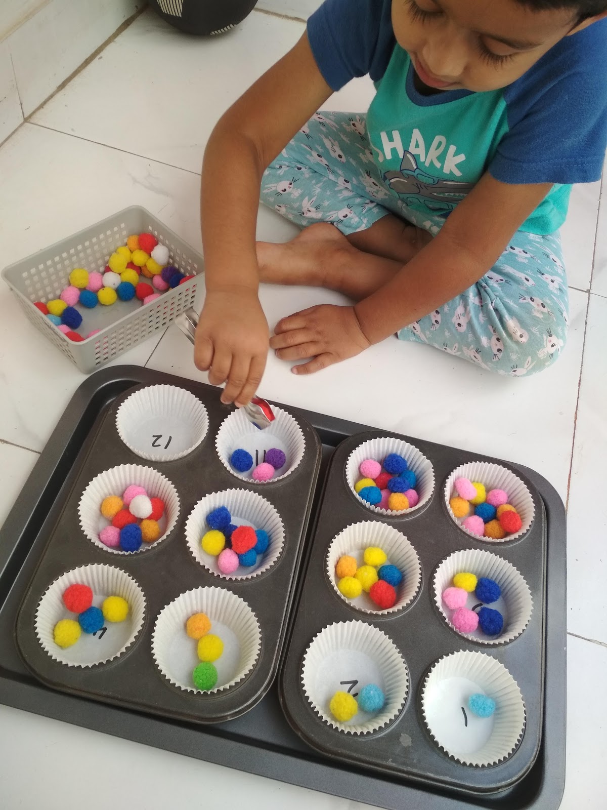 Sonshine Mumma: Pompom and Muffin Tray Counting Activity
