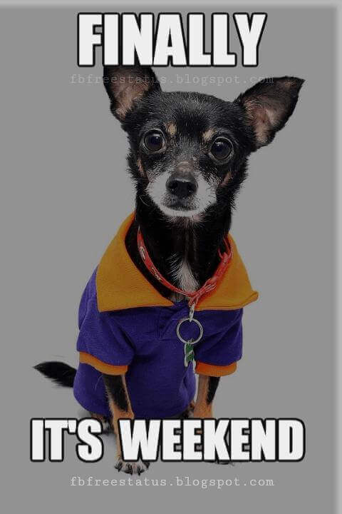 The Weekend Quotes & Sayings with beautiful Weekend Images