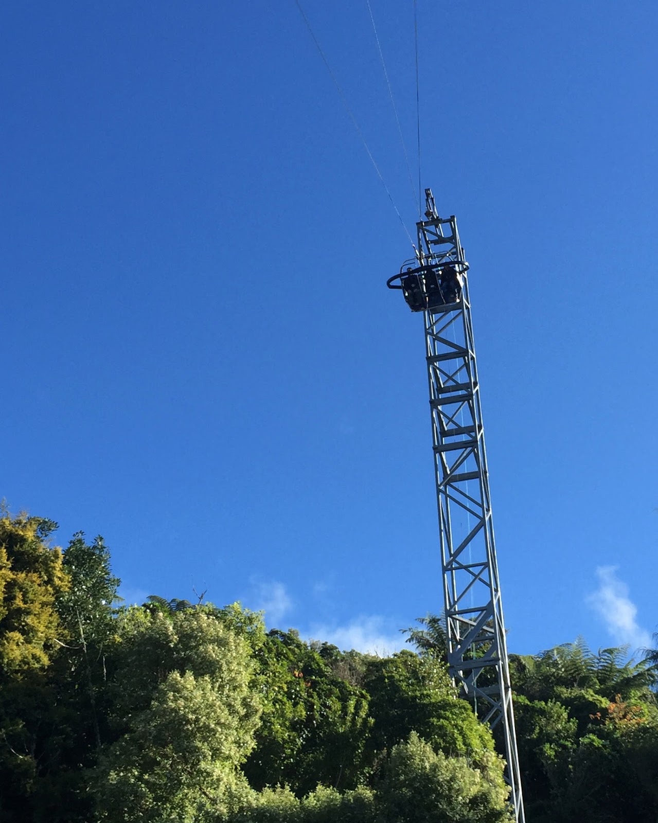 Tracey's Bucket List Adventures: The Skyswing Rotorua, New Zealand ...