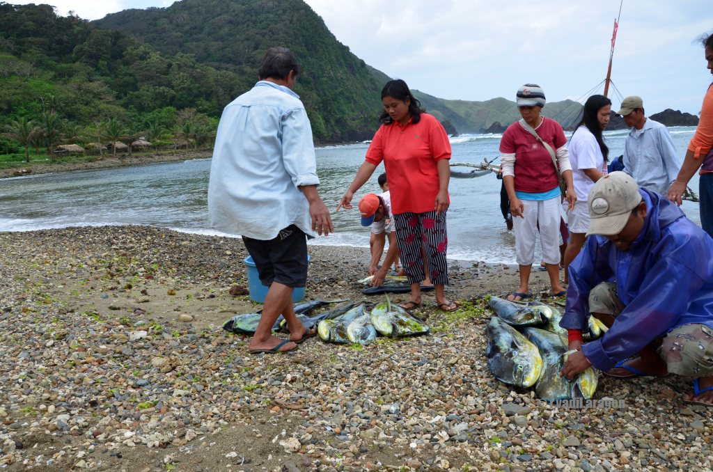 have pens & lens, will travel: One February day in Claveria, Cagayan