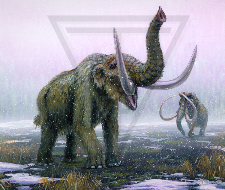Palaeos, la historia de la Vida en la Tierra: Galería: Mastodonte (y ...